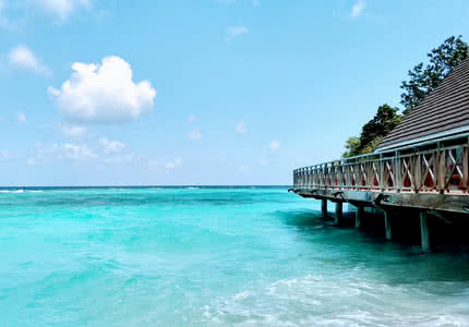 Advant — be successful, take advantage